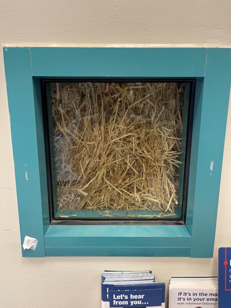 Fun facts - Postal Facts - U.S. Postal Service