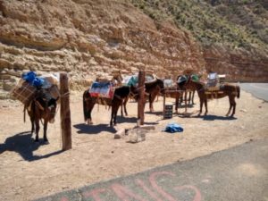 Map facts - Postal Facts - U.S. Postal Service